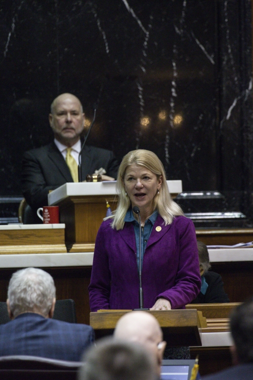 Negele: House supports bill helping ‘revenge porn’ victims | State of ...