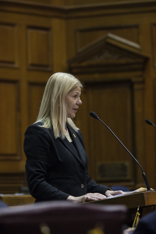 Negele’s bill cracking down on organized ‘shoplifting’ advances | State ...